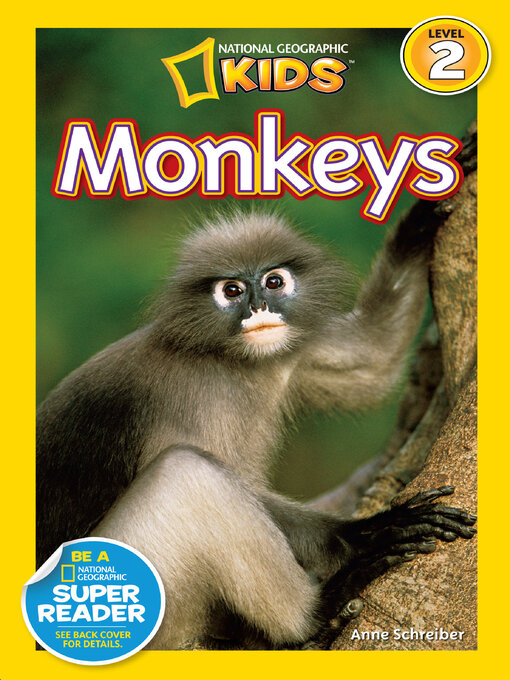 Libby - Monkeys