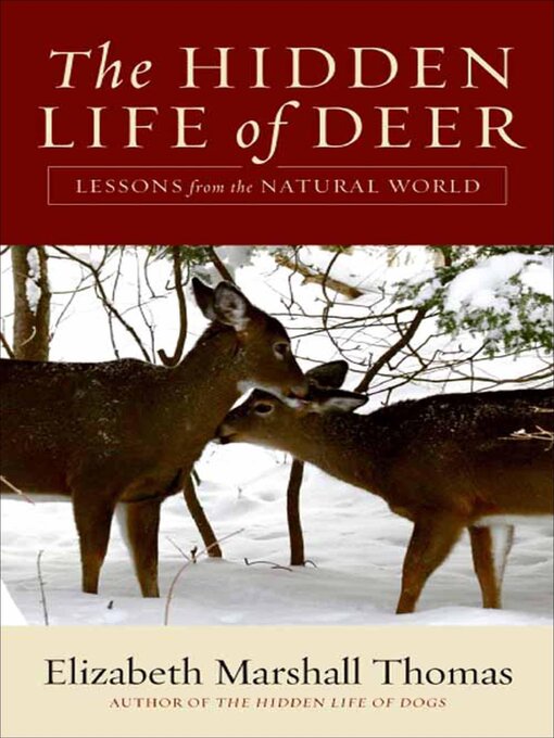 Libby - The Hidden Life of Deer