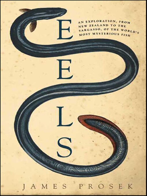 Libby - Eels