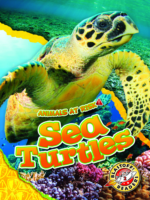 Libby - Sea Turtles