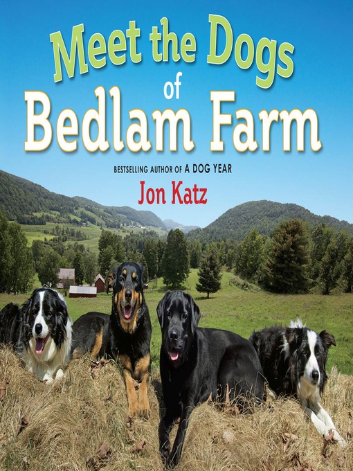 Libby - Meet the Dogs of Bedlam Farm