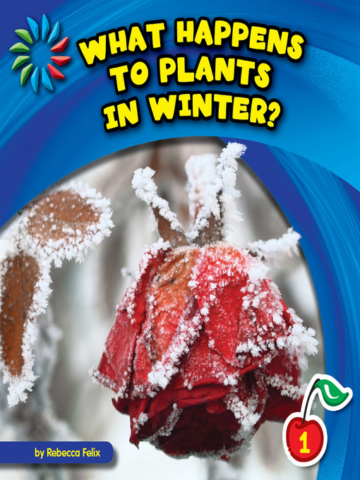 Libby - What Happens To Plants in Winter?